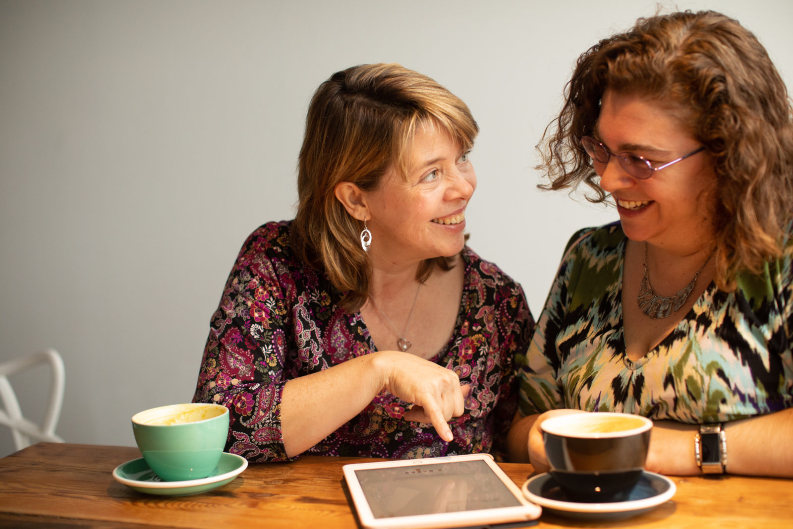 For Professionals - Help in the Home